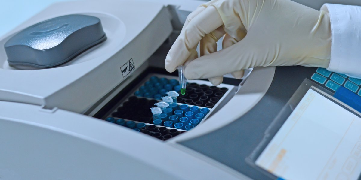 What is a Polymerase Chain Reaction? | Guide to PCR | Guide