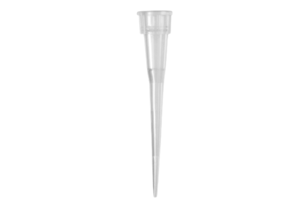 Gel Loading Pipette Tips - FB Australia