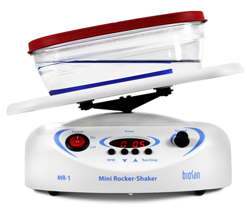 MR-1 Mini Rocker–Shaker - FB Australia