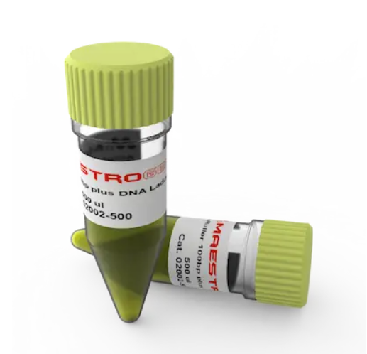 AccuRuller 100bp Plus DNA Ladders, 50μg / 500μl (>150 loadings) - FB ...