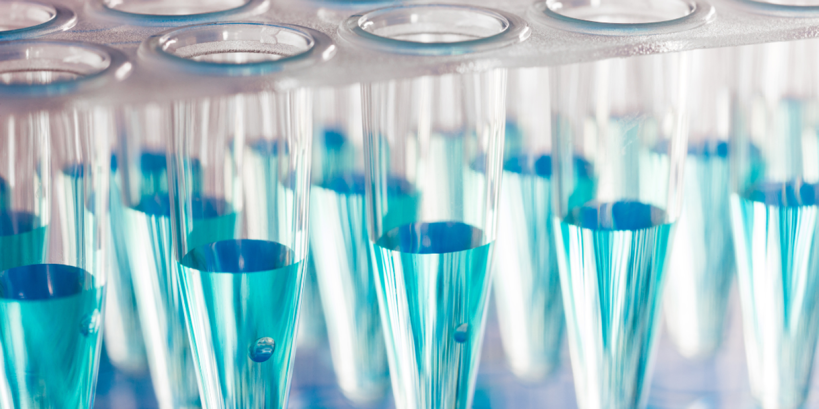 Laboratory Equipment Supplier | Perth | FB Australia
