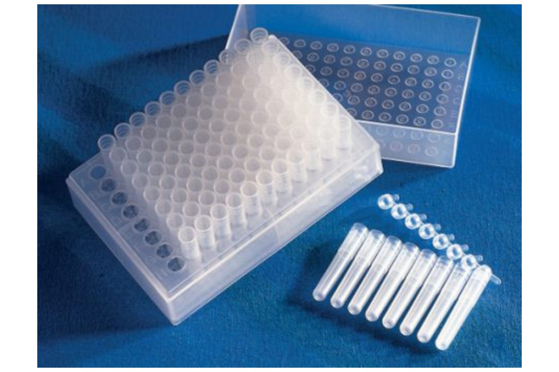 Compound Library Storage | Expert Solutions | Shop Now!