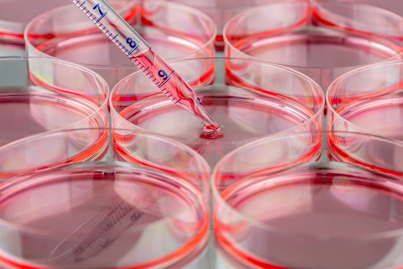 Cell & Tissue Lab Equipment | Australia-Wide | Shop Cell Culture