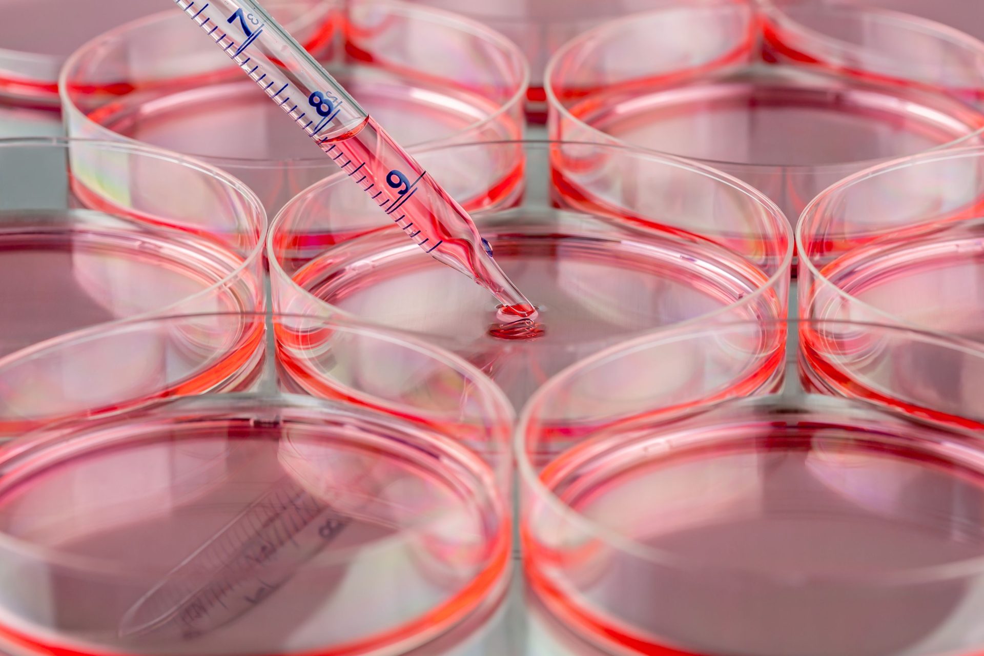 Cell & Tissue Lab Equipment | Australia-Wide | Shop Cell Culture