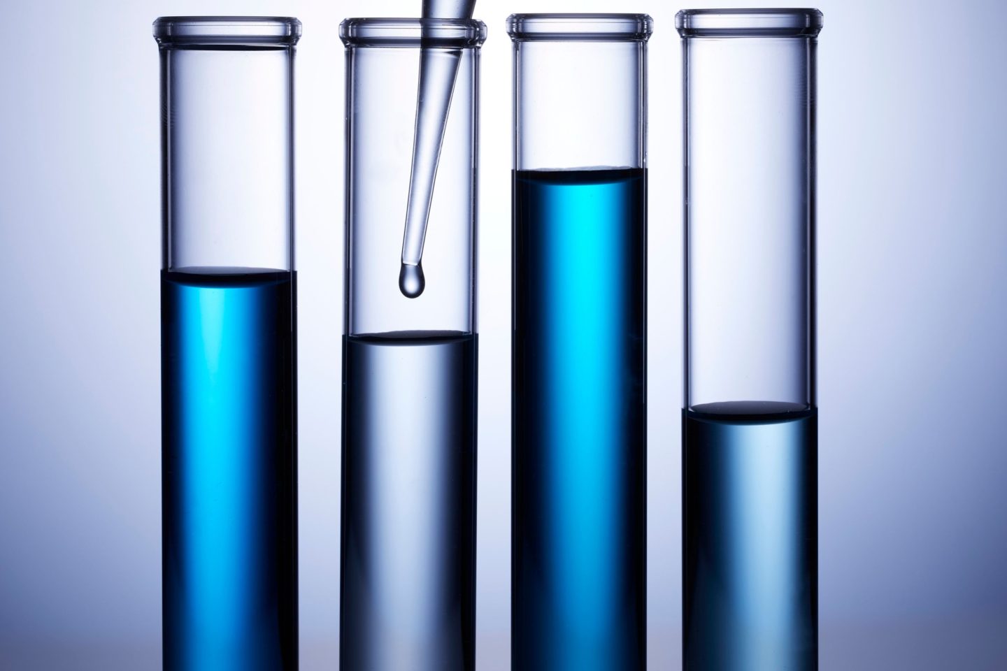 Protein Reagents & Kits | Shop Now | Protein Kits